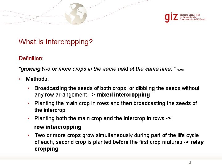 Modules on Sustainable Agriculture MOSA Intercropping 1 What