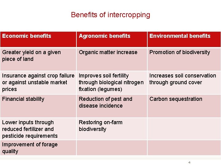 Modules on Sustainable Agriculture MOSA Intercropping 1 What