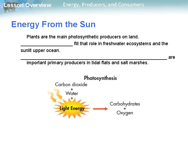 Lesson Overview Energy Producers and Consumers Lesson Overview