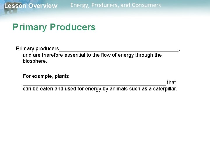 Lesson Overview Energy Producers and Consumers Lesson Overview
