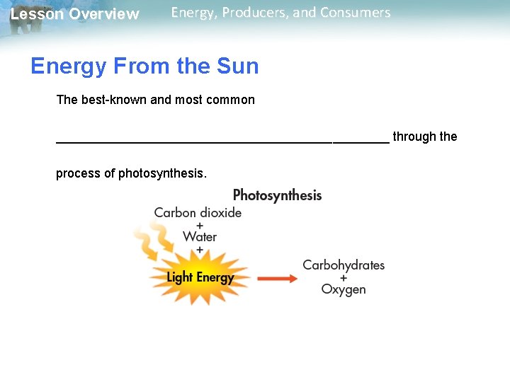 Lesson Overview Energy Producers and Consumers Lesson Overview