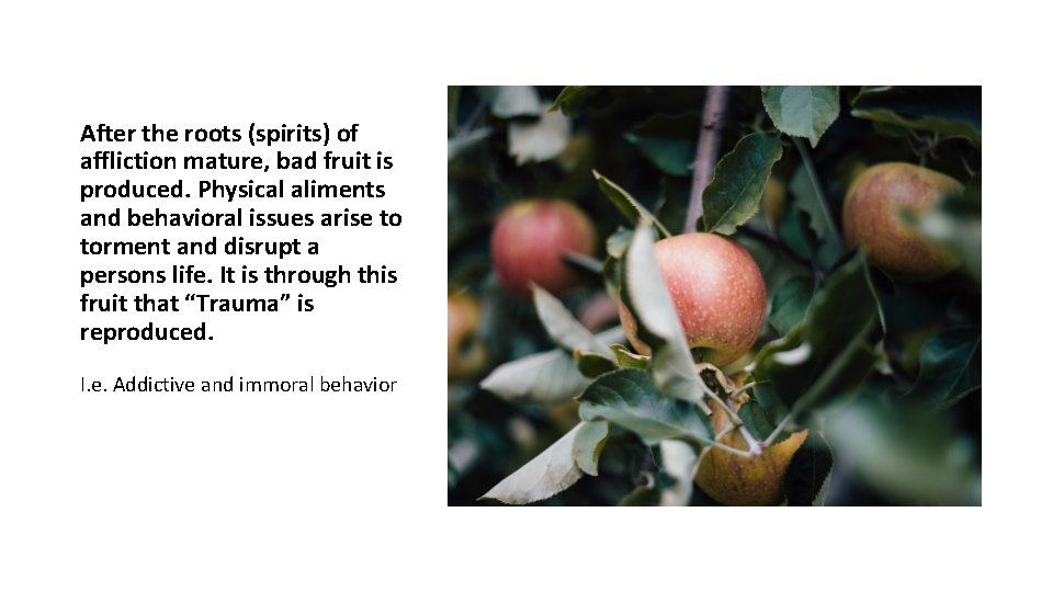 Recognizing and Understanding Trauma Revealing Light Ministries Sin