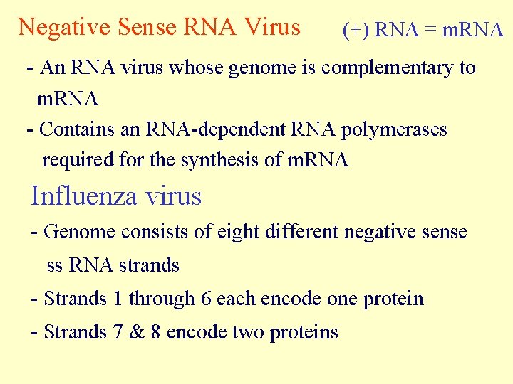Viruses Chapter 6 Talaro Viruses of bacteria Archaea