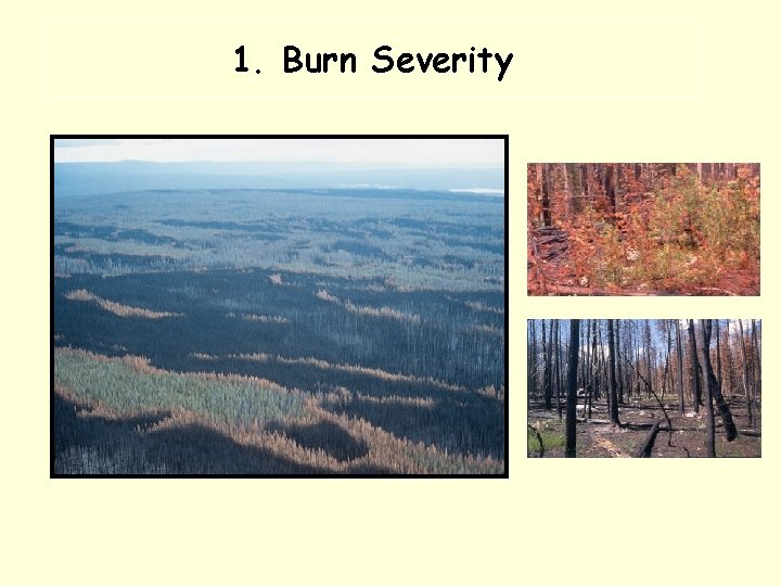 Disturbance Spatial Heterogeneity and Ecosystem Function Effects of