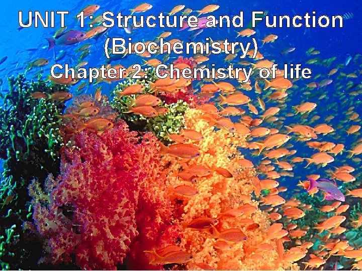 UNIT 1 Structure and Function Biochemistry Chapter 2