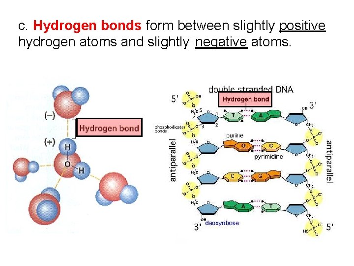 UNIT 1 Structure and Function Biochemistry Chapter 2