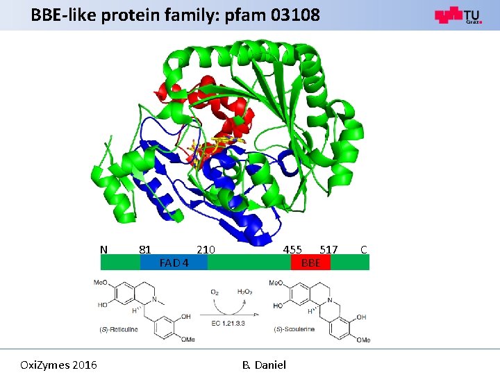 Oxi Zymes 2016 The Family of Berberine Bridge