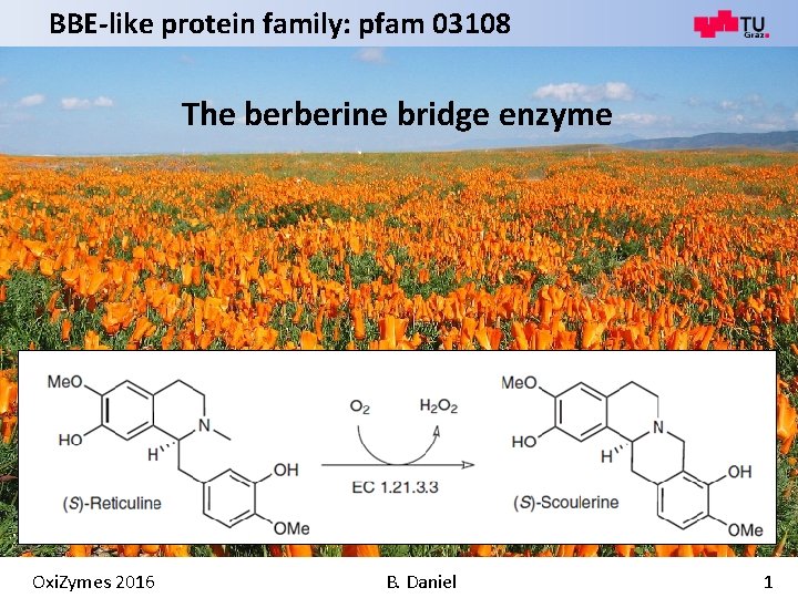 Oxi Zymes 2016 The Family of Berberine Bridge
