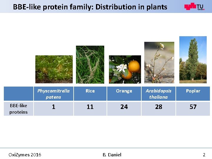 Oxi Zymes 2016 The Family of Berberine Bridge