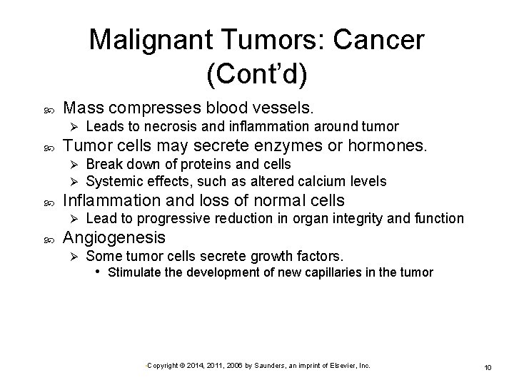 Chapter 20 Neoplasms and Cancer Introduction Terminology Differentiation