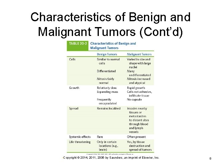 Chapter 20 Neoplasms and Cancer Introduction Terminology Differentiation