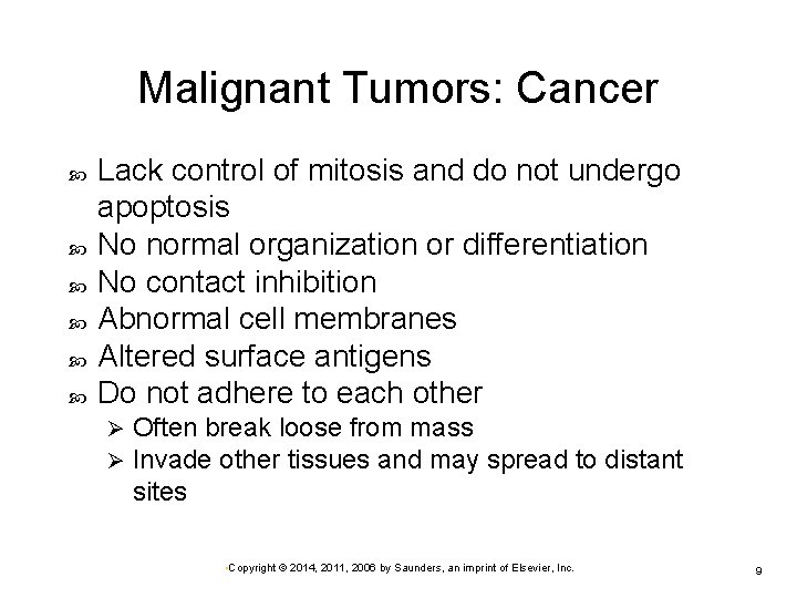 Chapter 20 Neoplasms and Cancer Introduction Terminology Differentiation