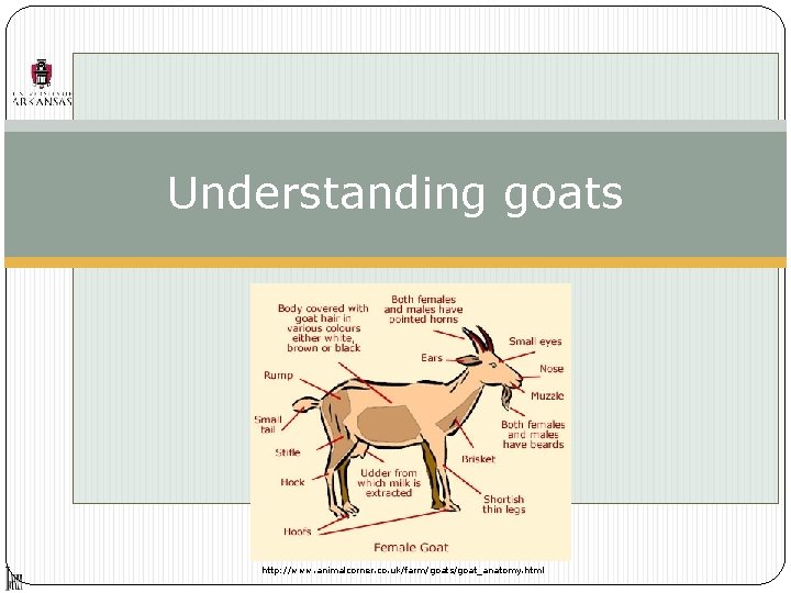 This presentation is part of an educational modular