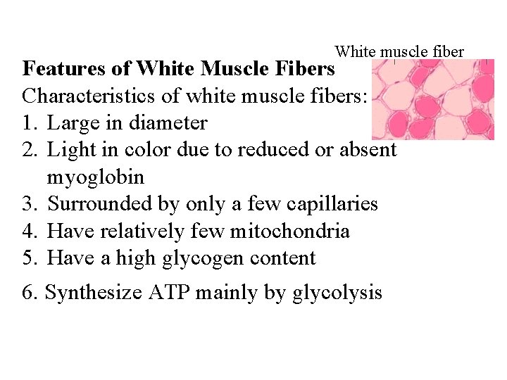 1 To understand the cellular processes for synthesis