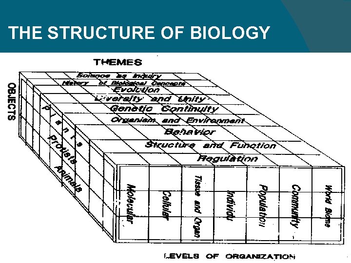 BIOLOGY EDUCATION Dr Slamet Suyanto M Ed Biology