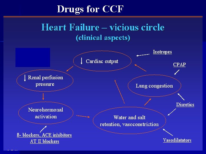 Drugs for CCF Heart failure is the progressive