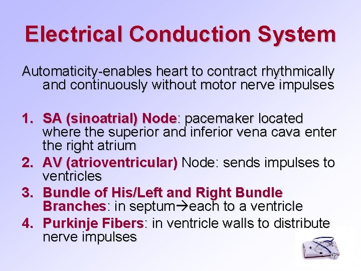 Cardiovascular System Teresa Rogers Butler County ATC Spring