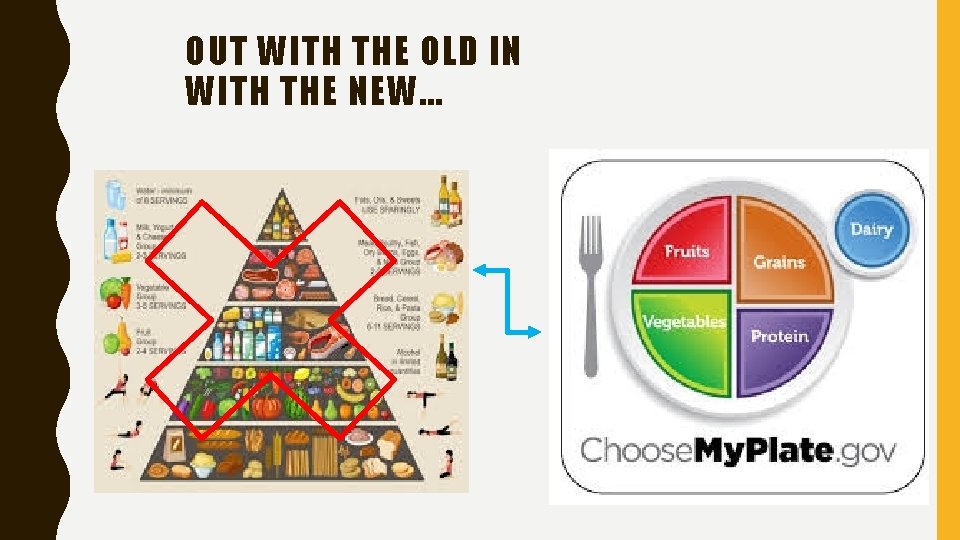 MY PLATE BY MS REIFF MRS ANDERSON WHAT