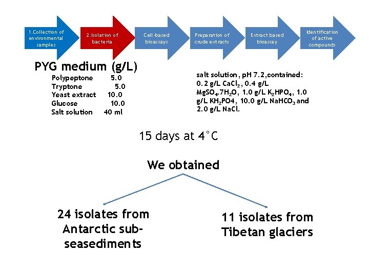 Exploiting the cold environments psychrophilic bacteria as a
