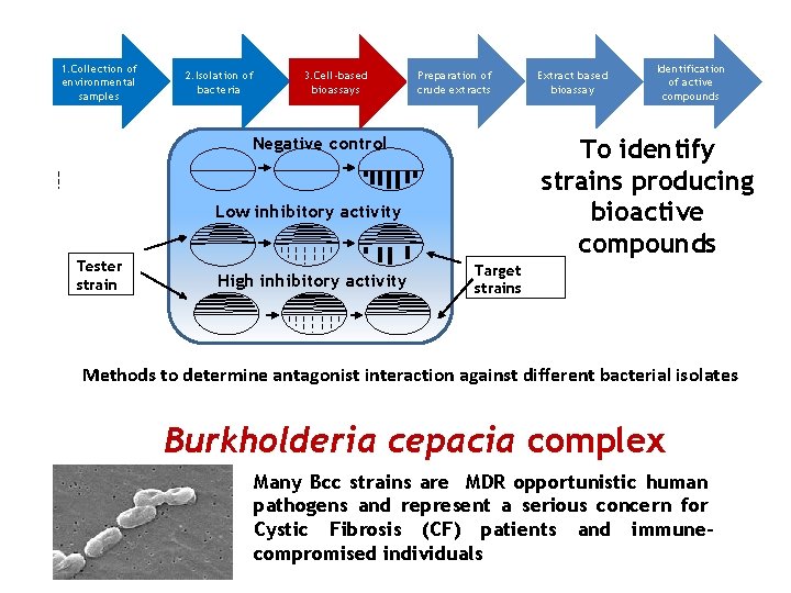Exploiting the cold environments psychrophilic bacteria as a