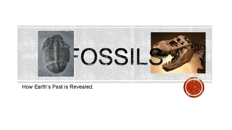 How Earths Past is Revealed Evidence of prehistoric