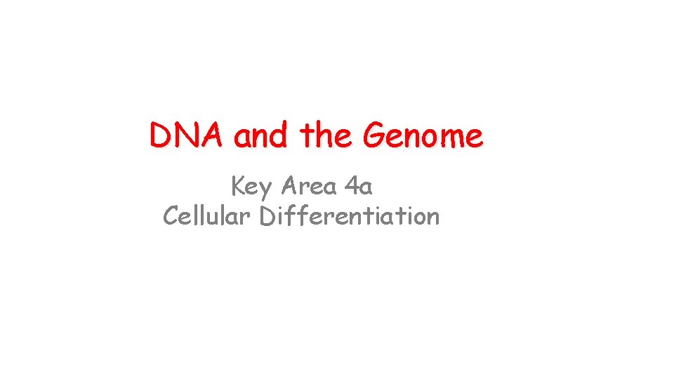DNA and the Genome Key Area 4 a