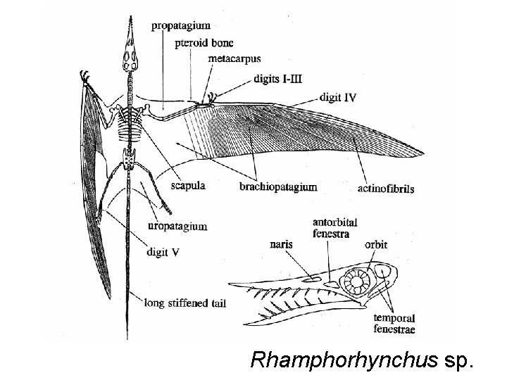 Natural Sciences 360 Legacy of Life Lecture 14