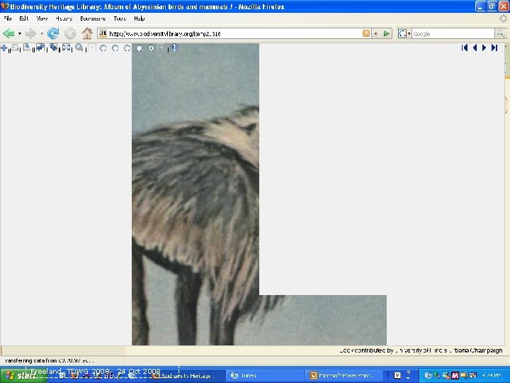 Using the JPEG 2000 image format for storage