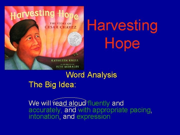 Harvesting Hope Word Analysis The Big Idea We