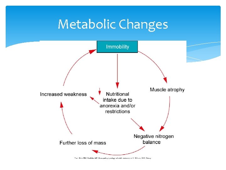 The effects of Immobility Factors Influencing obilityImmobility Mobility