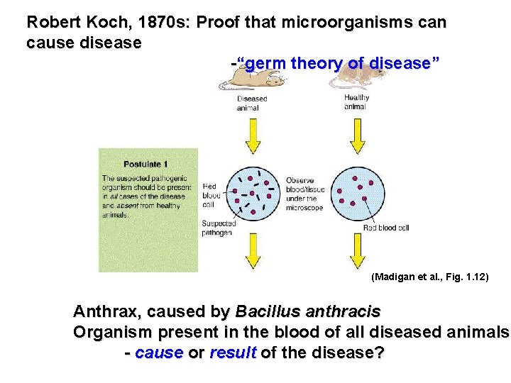 Lecture 2 1 5 The Historical Roots of