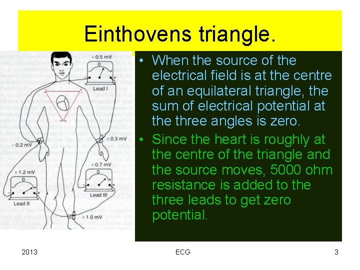 Electrocardiography Prof K Sivapalan Principle of Electrocardiogram Trunk