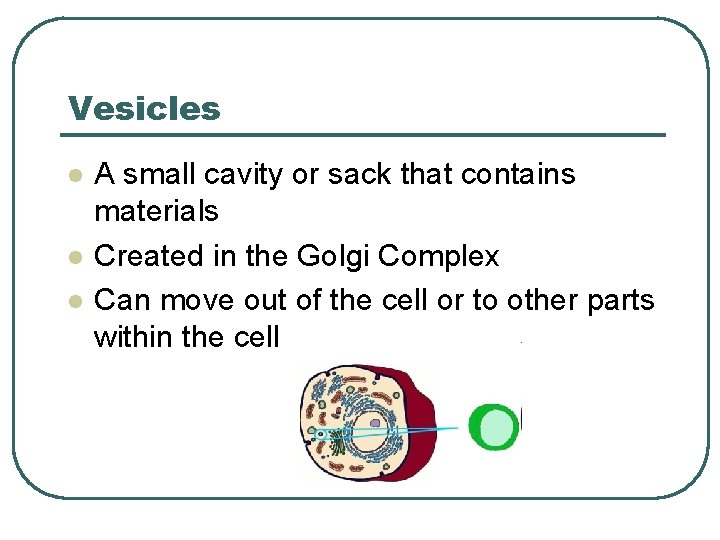 Cell Organelles Review Types of Cells l Prokaryotic