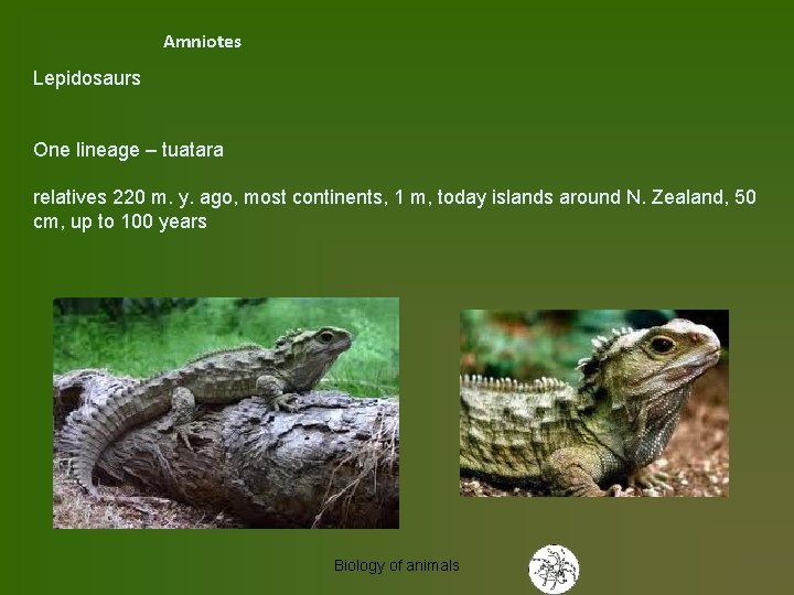 Biology of animals X 5 5 2010 by