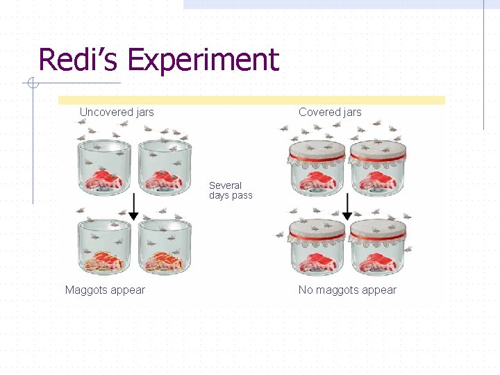 THE SCIENCE OF BIOLOGY Chapter 1 Understanding the