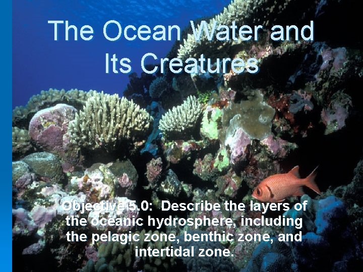 The Ocean Water and Its Creatures Objective 5