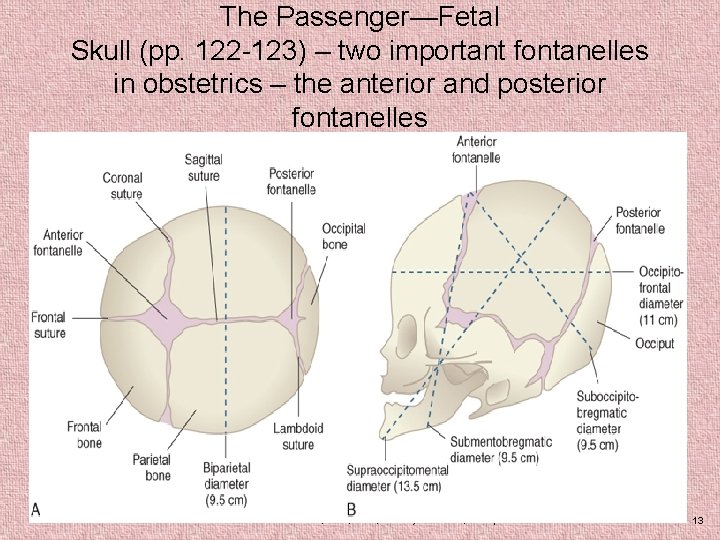Chapter 6 Nursing Care of Mother and Infant