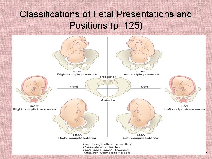 Chapter 6 Nursing Care of Mother and Infant