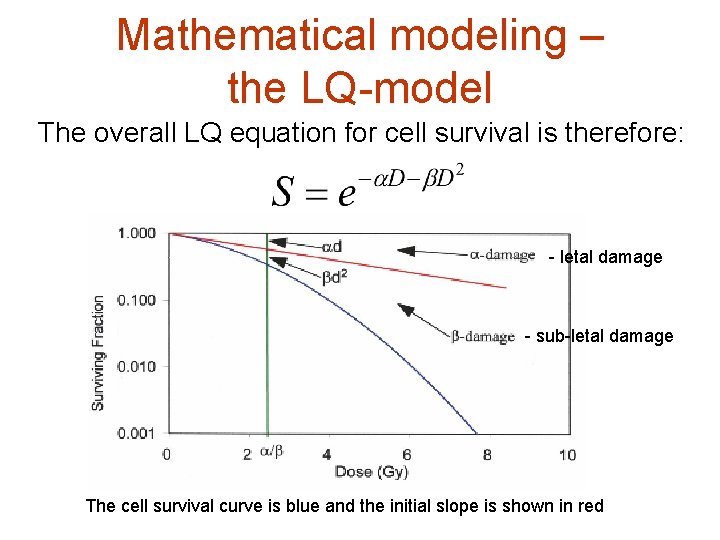 Clinical radiobiology normal tissue and fractionation Categories of