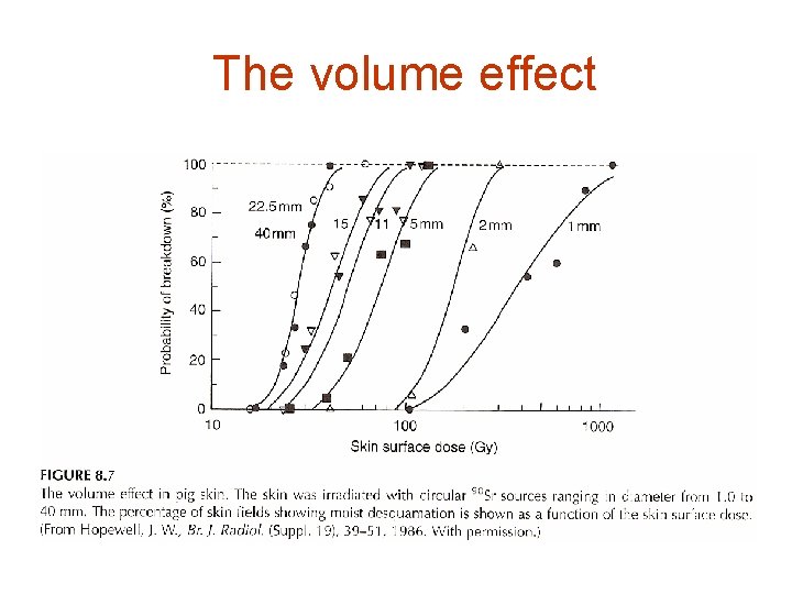 Clinical radiobiology normal tissue and fractionation Categories of