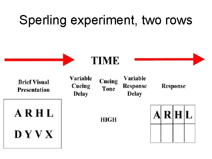 Theoretical questions connected with change blindness What is