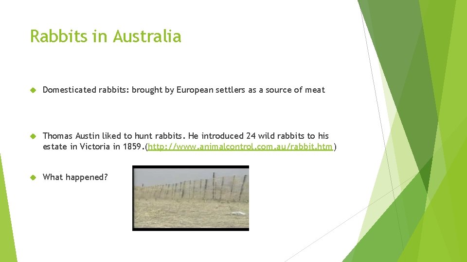 Invasive Species A History of How Humans Modify