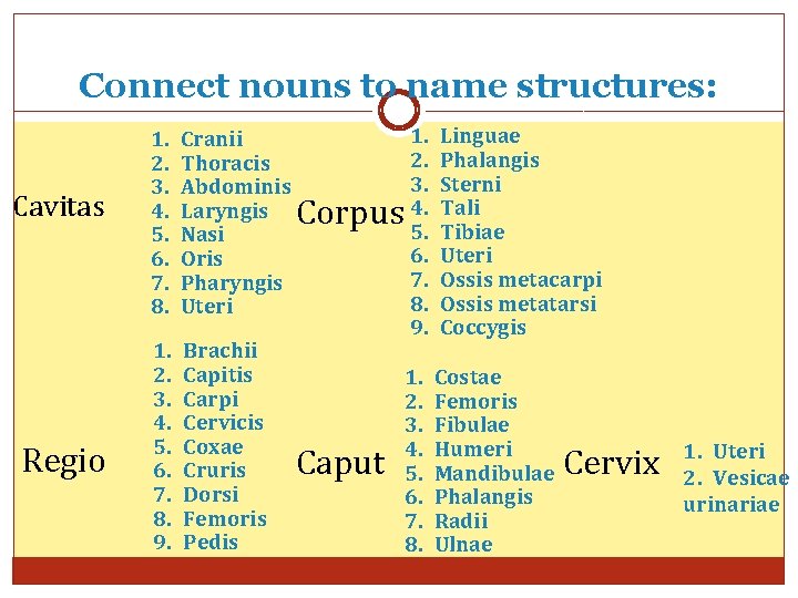 Basic medical terminology 6 IIIRD DECLENSION CONSONANT STEMS