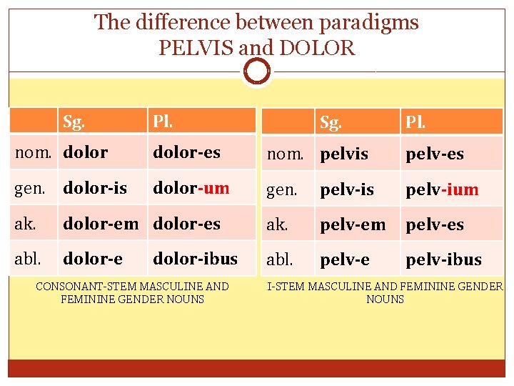Basic medical terminology 6 IIIRD DECLENSION CONSONANT STEMS