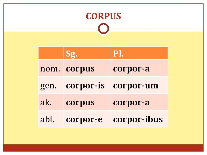 Basic medical terminology 6 IIIRD DECLENSION CONSONANT STEMS