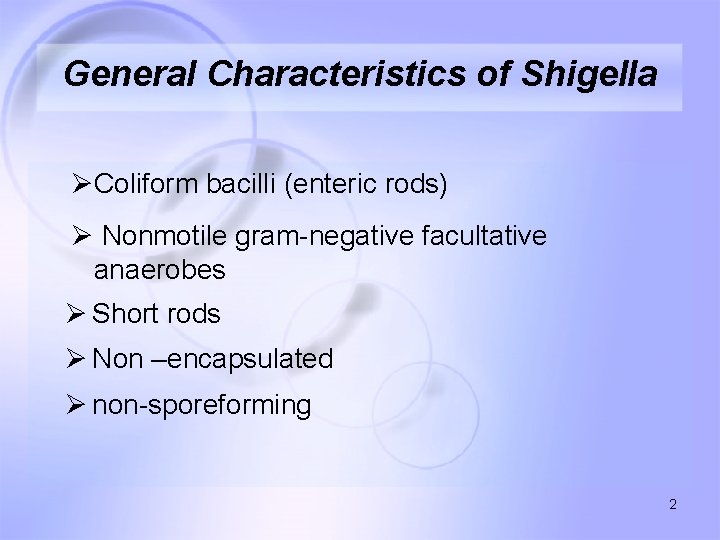 Shigella dysentery bacterium 1 General Characteristics of Shigella