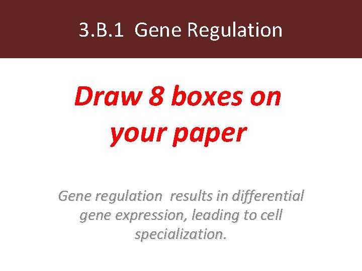 3 B 1 Gene Regulation Draw 8 boxes