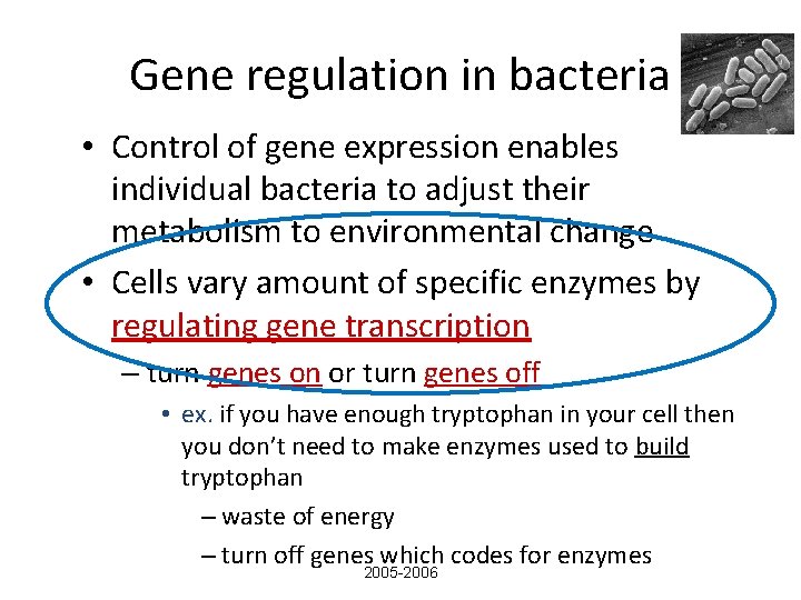 3 B 1 Gene Regulation Draw 8 boxes