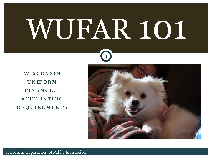 WUFAR 101 1 WISCONSIN UNIFORM FINANCIAL ACCOUNTING REQUIREMENTS