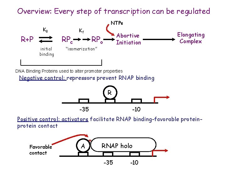 Biochem 201 Biological Regulatory Mechanisms Lecture 2 Carol
